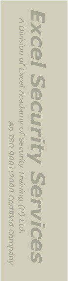 Excel Security Services